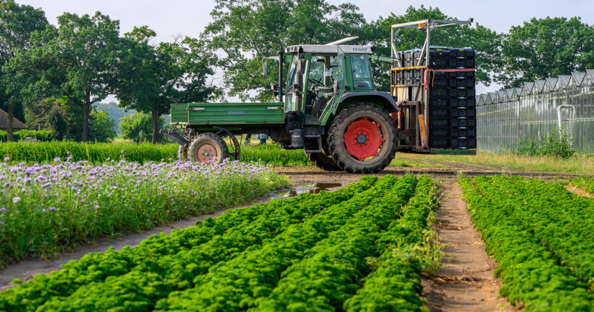 Vitacress Real news | Vitacress Real